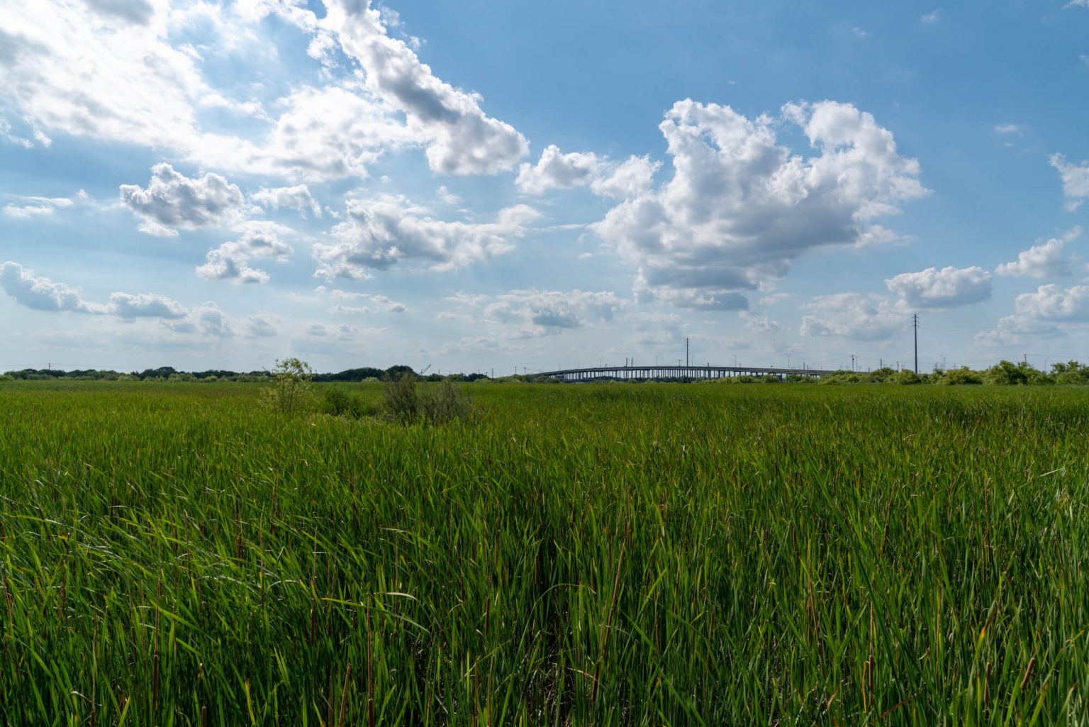 20 Things to Do in Freeport, TX and the Surrounding Area